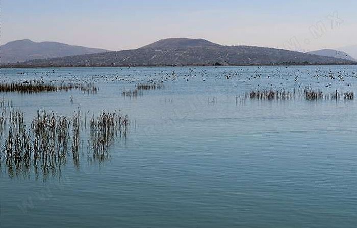 El lago de Texcoco es más importante que el NAICM: Experto