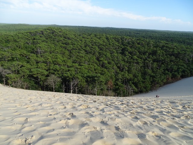 Duna Pilat, el sorprendente desierto de Francia