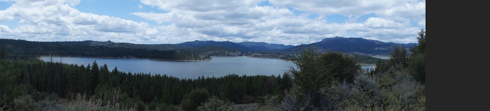 Mamma Quail Hiking California : To boldly go: hiking at Frenchman Lake.