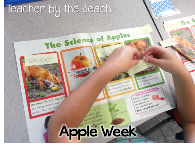 Apple Week - Hands on Activities and Free Downloads - Teacher by the Beach