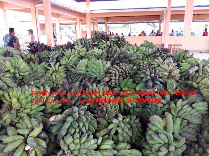 Pembekal Pisang Tempatan