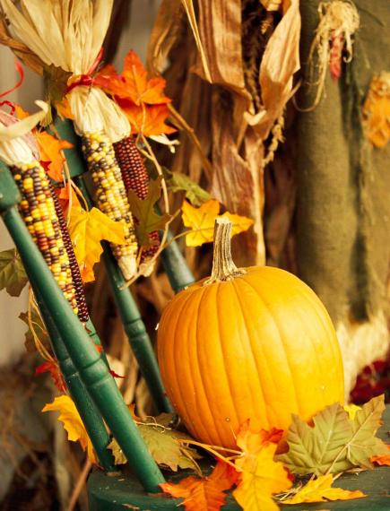 5 Dried Corn Projects for Fall Decorating - top 5 inspired things