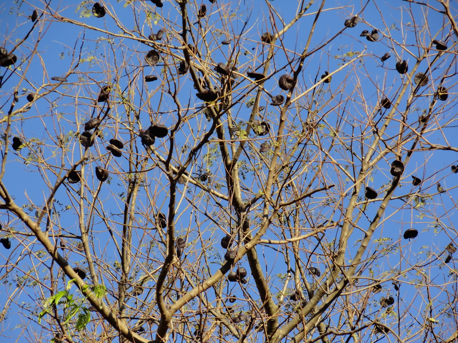 Técnicas de pintura