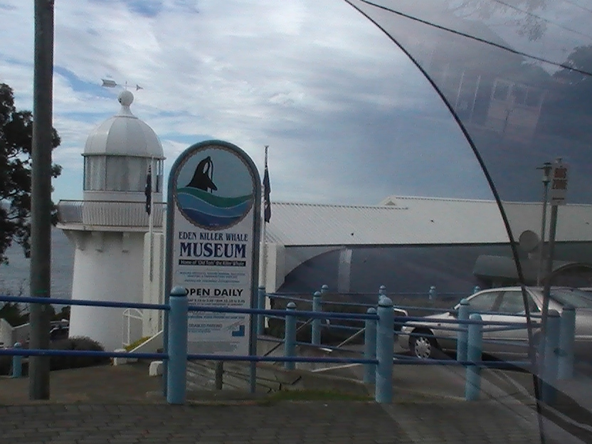 THE TRAVELLING GREGORY'S: Old Tom of Eden!!!