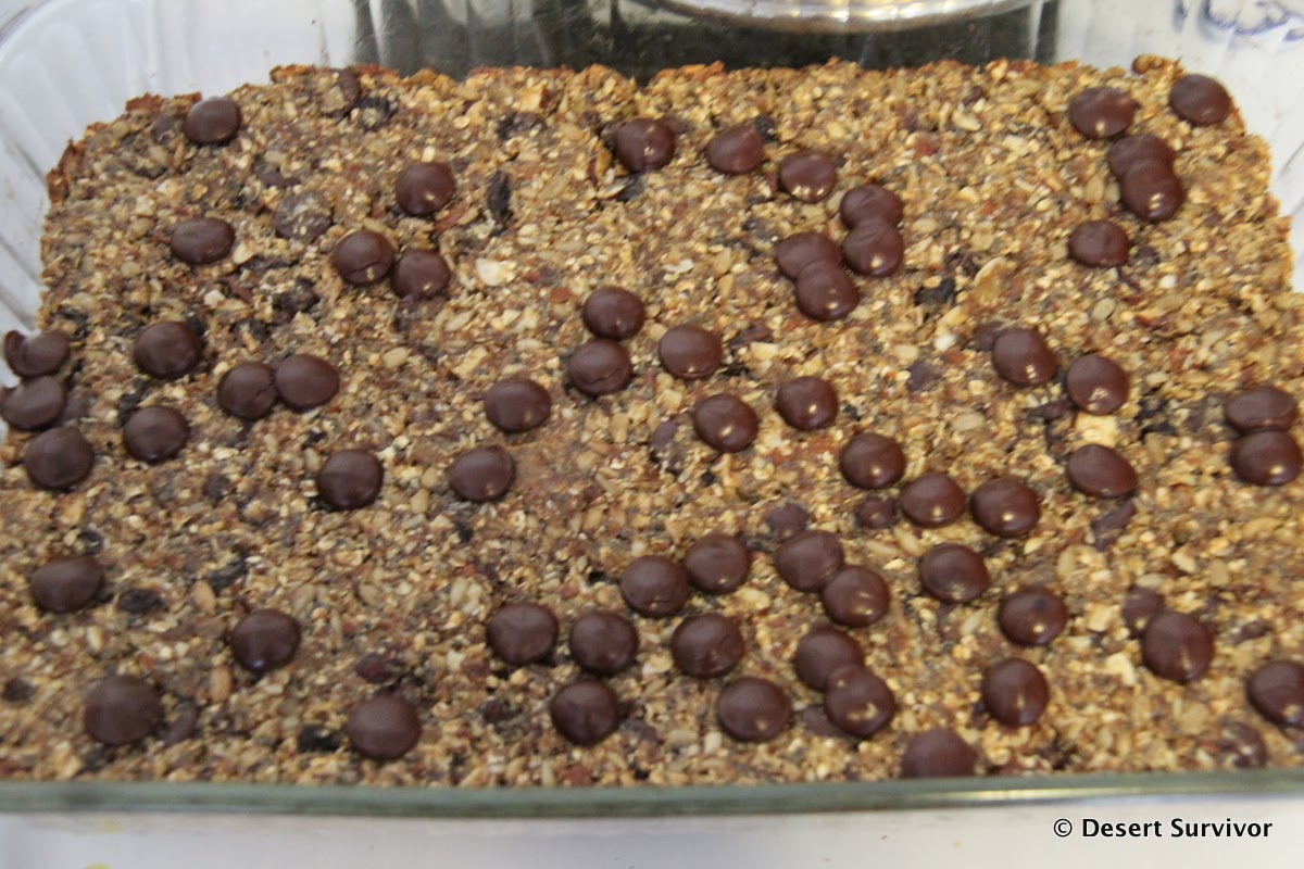 Desert Survivor: Healthy Energy Bars