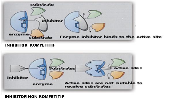 BIOLOGI GONZAGA: SOAL METABOLISME SEL 2