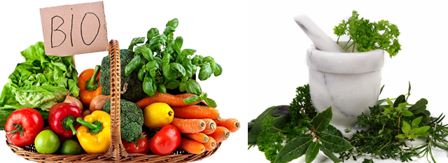 Amenajarea unui magazin cu produse bio și naturale