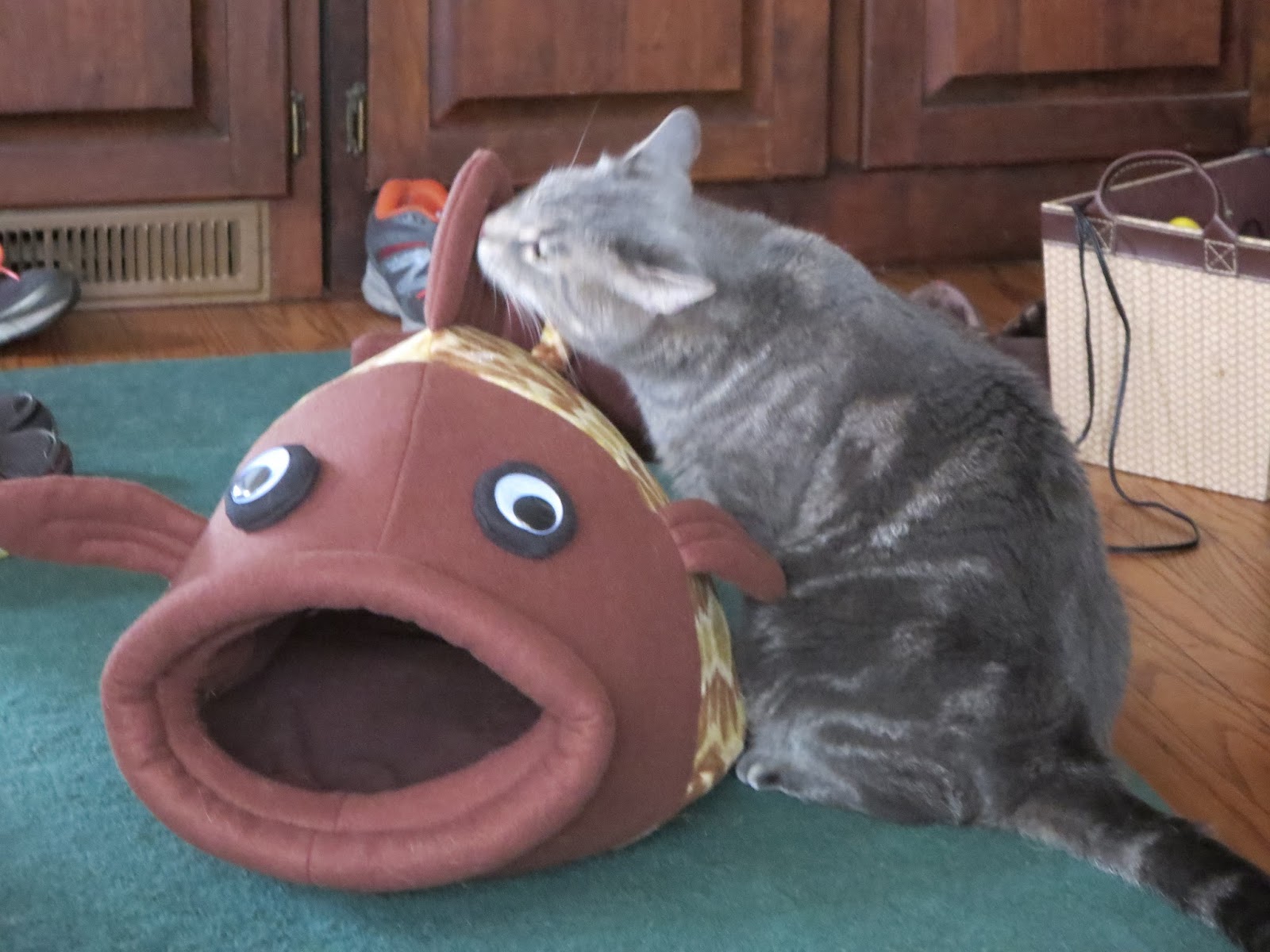 That's Life: Craft show & a 'catfish'