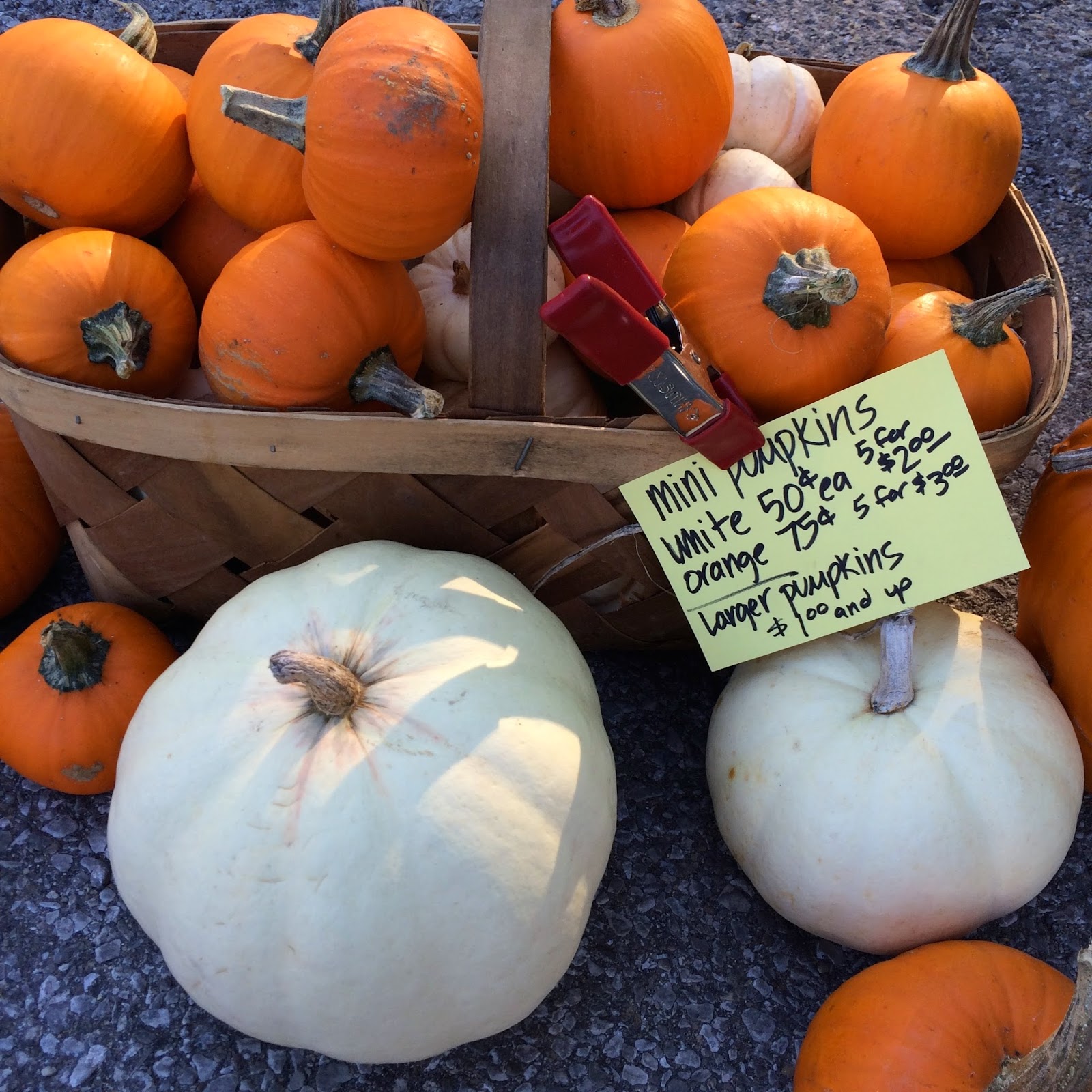 Bexley Farmers' Market: Bexley Farmers' Market: September 28