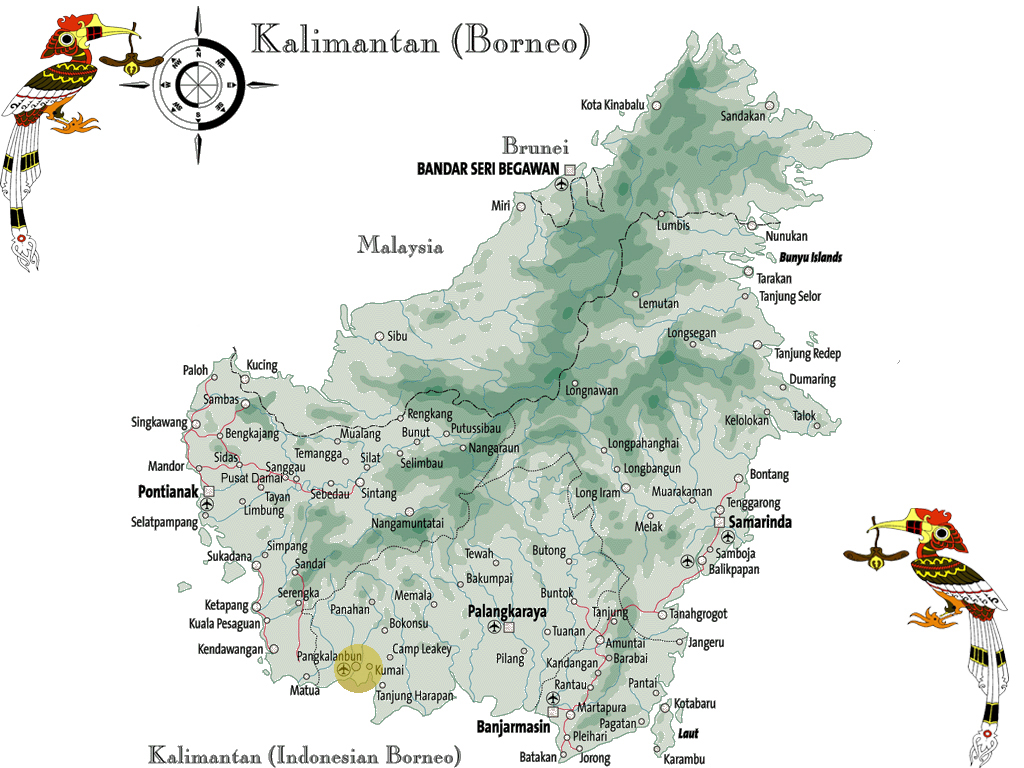 Berita Terkini dan Terdepan: PETA PULAU BORNEO ATAU KALIMANTAN