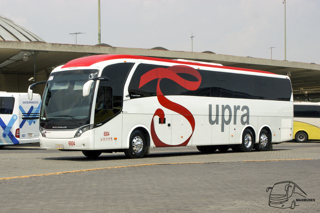MAXIBUSES: SUPRA