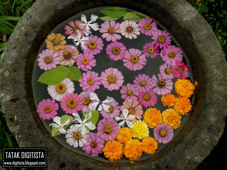 foydi finds: Treasure Find 21 -- Breathtaking Batanes (Da Best Sa ...