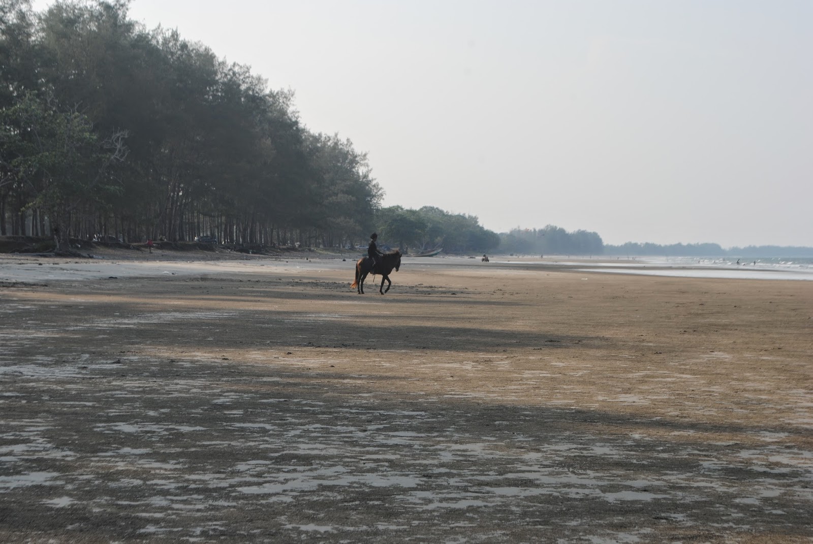 PANTAI SEPAT KUANTAN: 2017