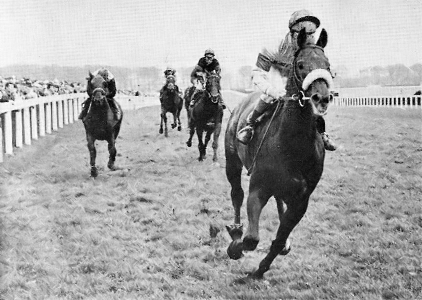 The Apprentice Jockey: Rewind to 1970