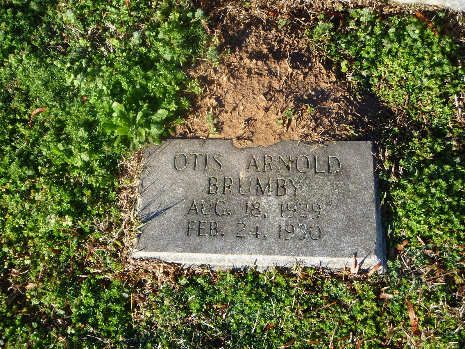 Chicken Fat: Visiting St James Episcopal Cemetery in Marietta