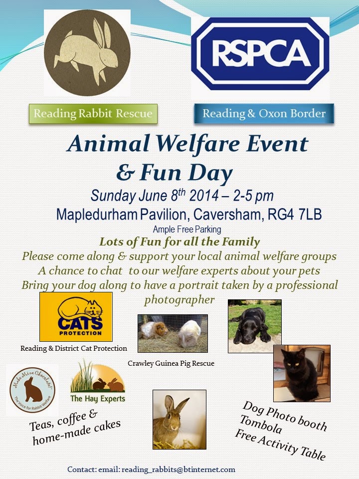 Isobel Ballsdon: Animal Welfare Fun Day at Mapledurham Pavilion