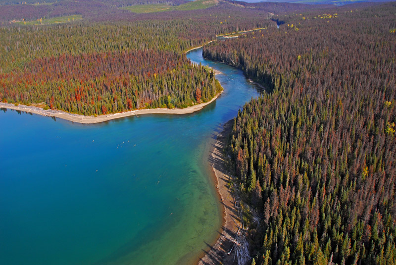 Say the Names: Morice River aerial photos