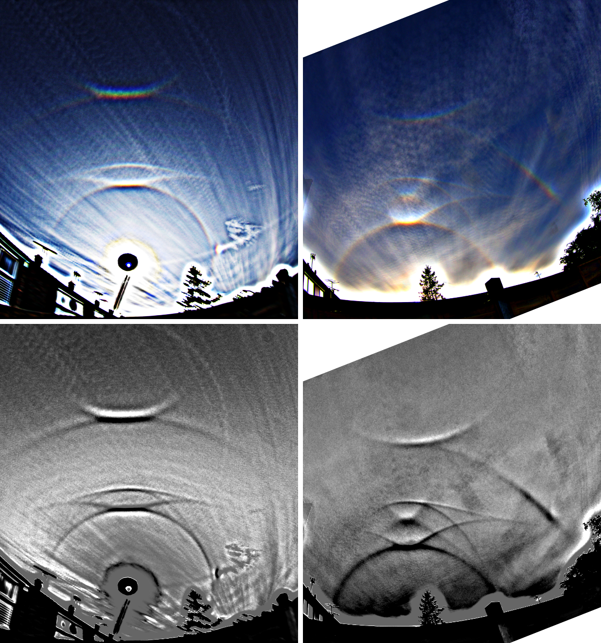 The Halo Vault: Halo simulation using a single ice crystal population