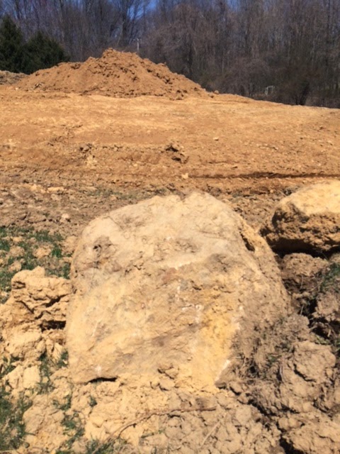 Tate Of The Union: Building a Foundation