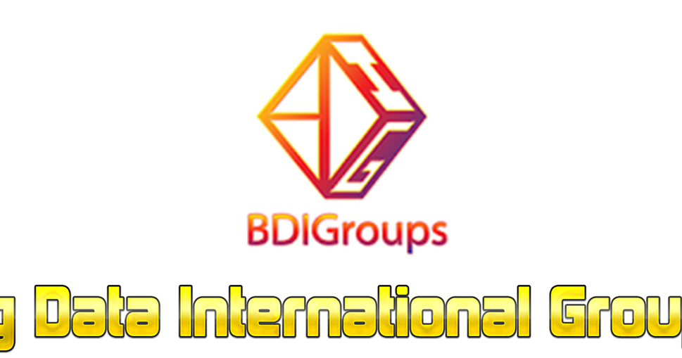 BDIG - Big Data International Group: HOME