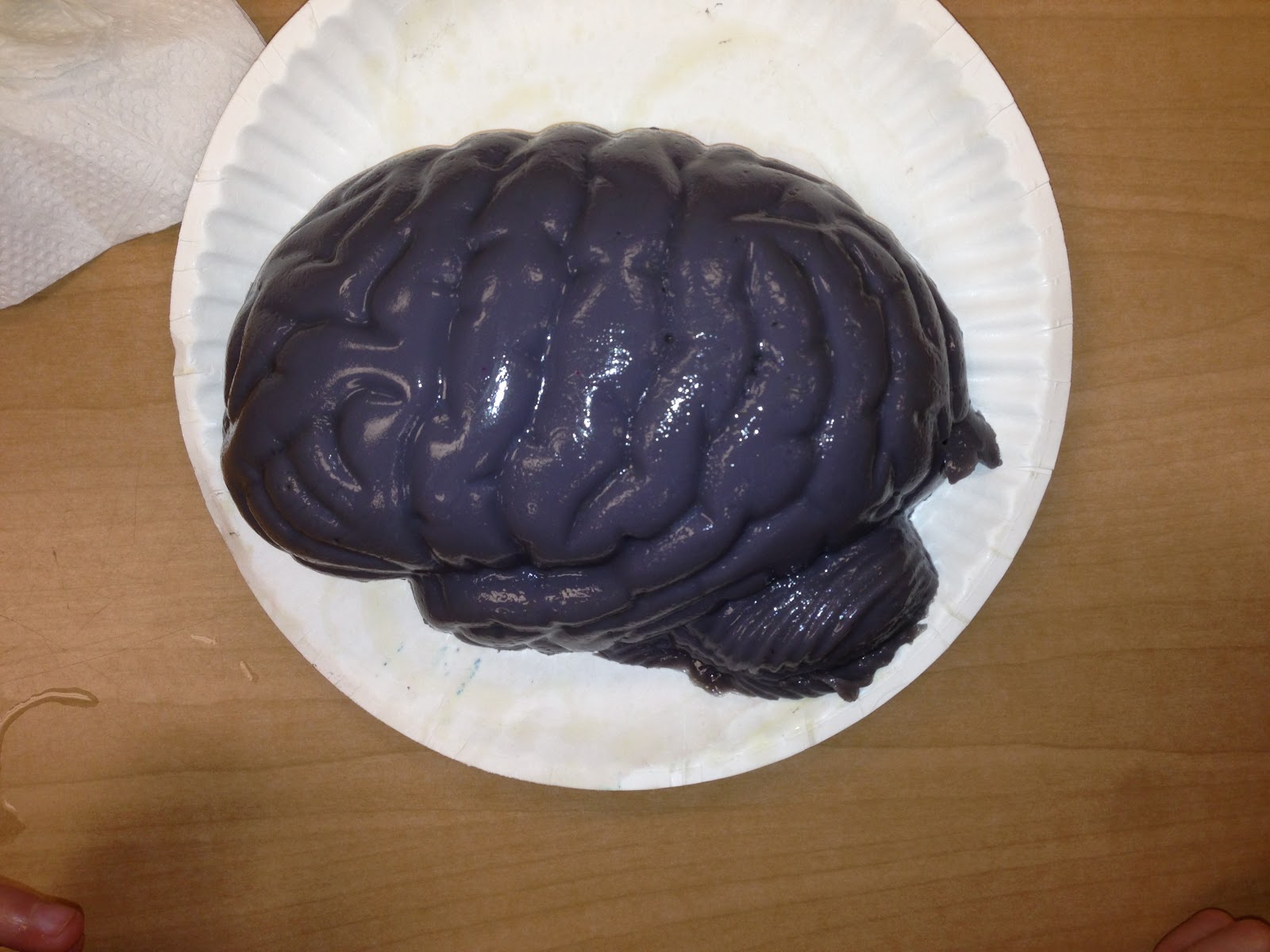 Explore Science Beyond the Classroom: Brain Jello
