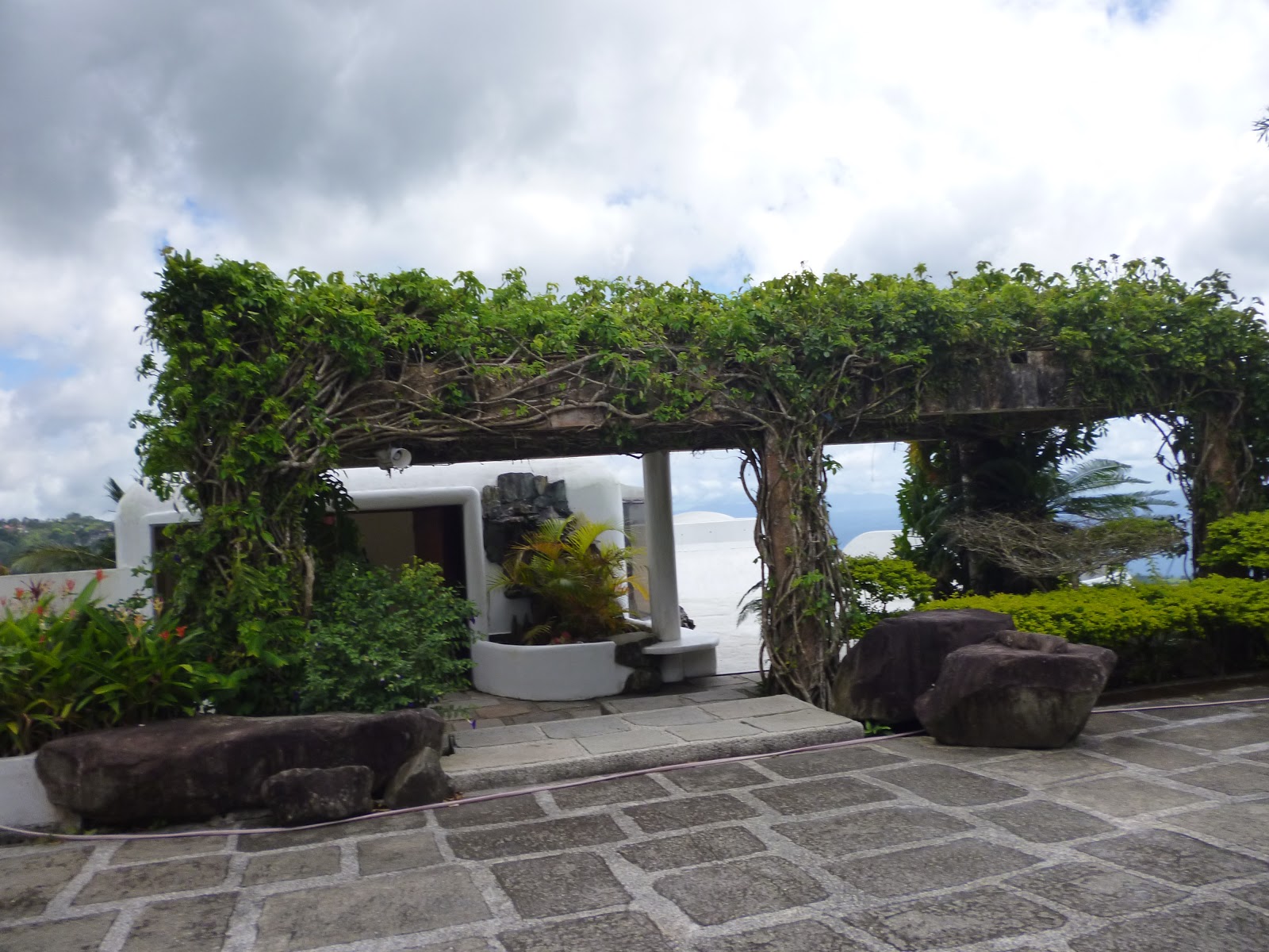 Tales and Stories of the 10,000 wpm Talking Mommah