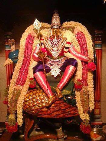 Gods Own Web: Lord Murugan HD Wallpapers | Lord Muruga HQ Photos | HD ...