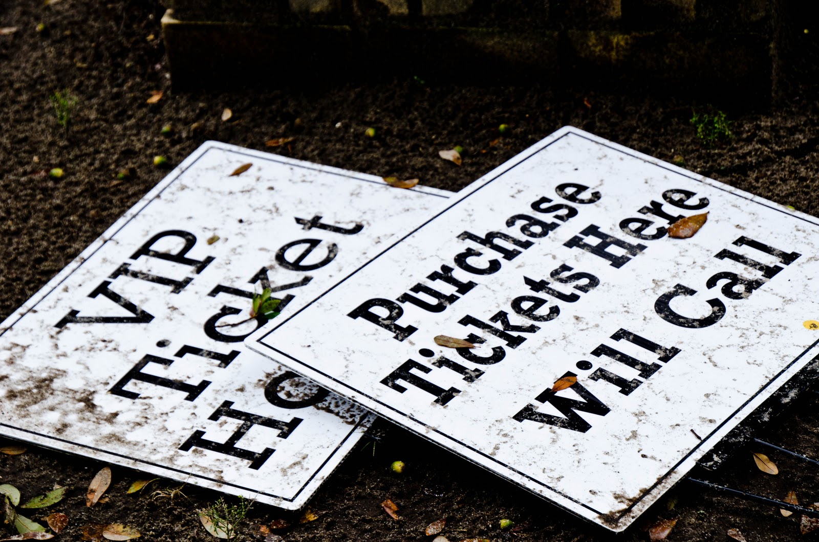 Augusta Georgia Daily Photo: November 2011