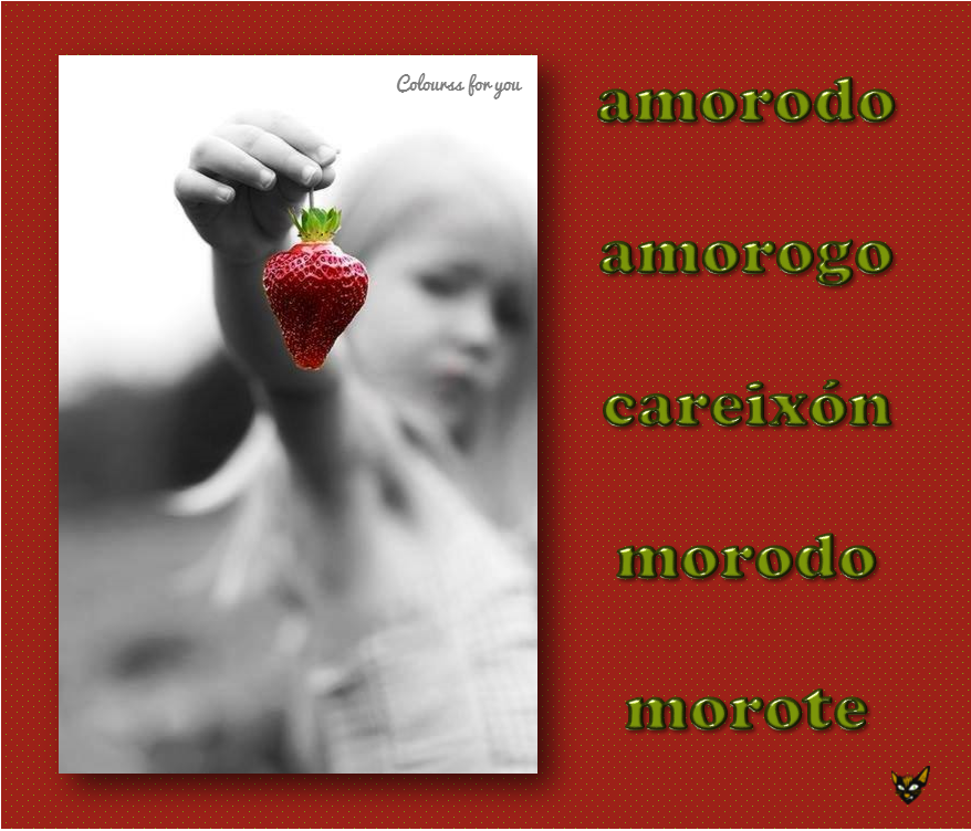 Zarampagalegando: Dicionario visual. Amorodo