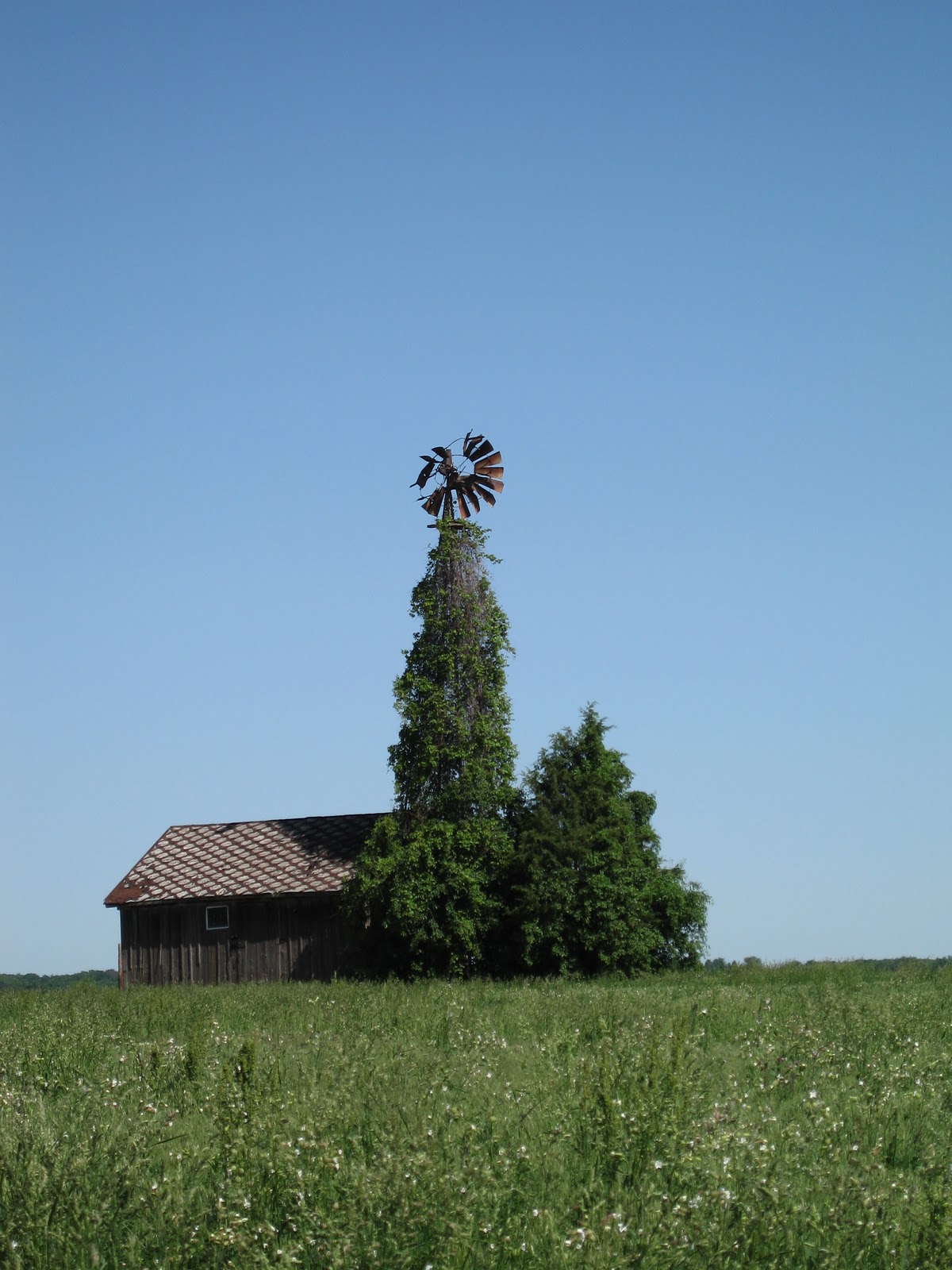 Somers Wisconsin Pioneer History: Beautiful Wisconsin