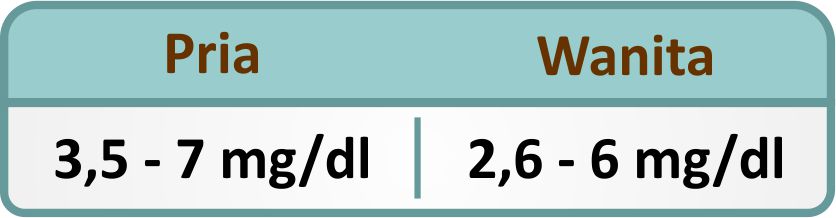 Batas Normal Asam Urat Bagi Perempuan - Guntur Sapta Blog