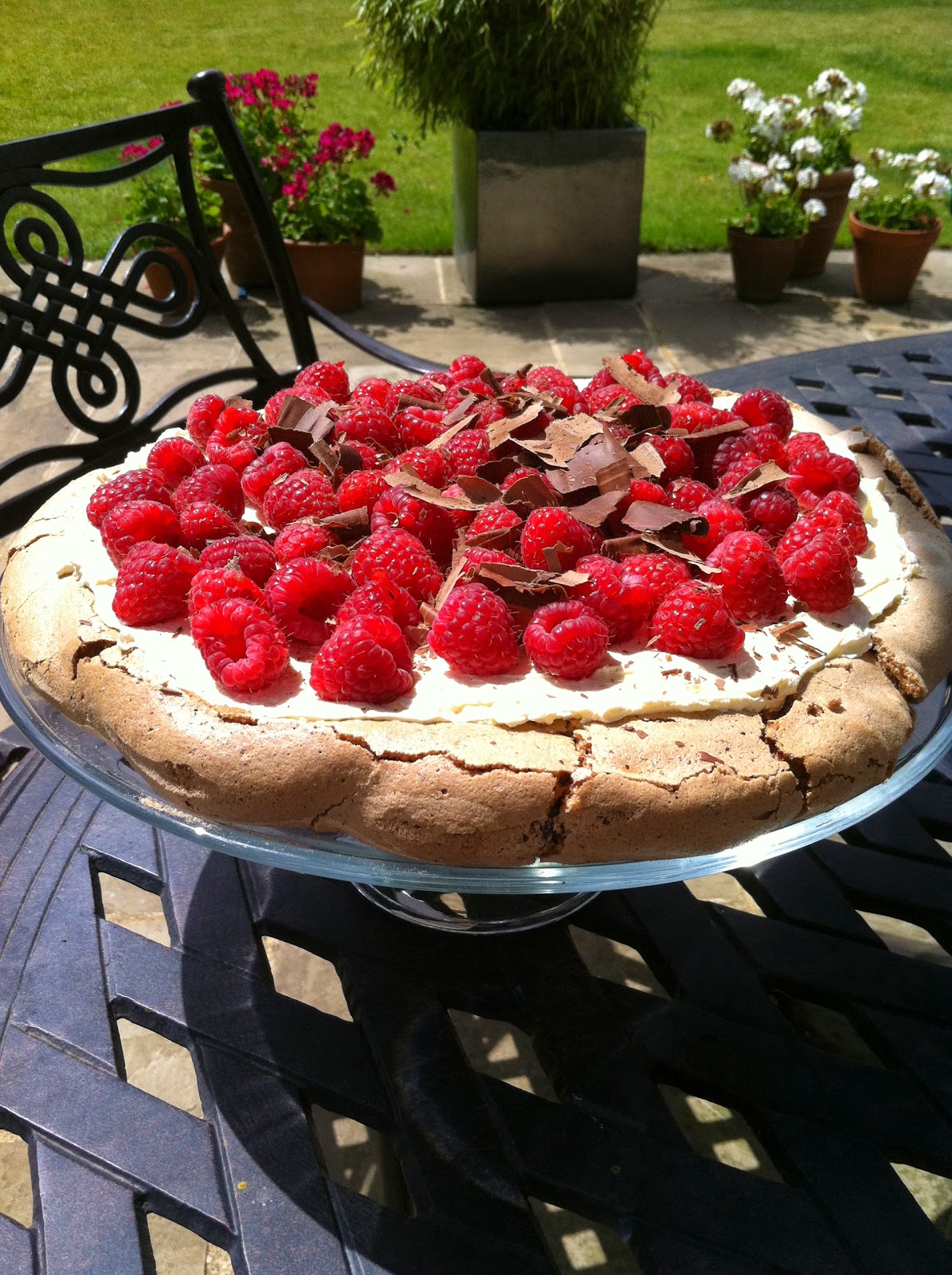 Food - Nigella's Chocolate and Raspberry Pavlova - Roses and Rolltops