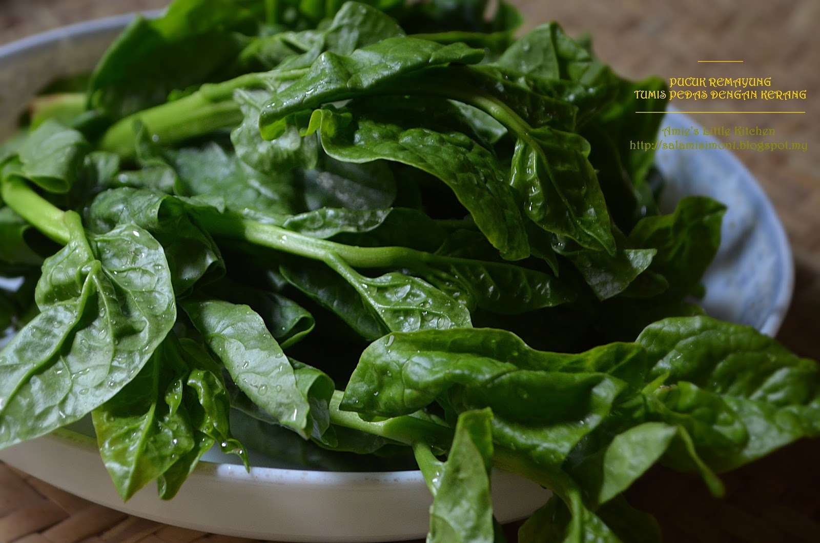 Pucuk Remayung Tumis Pedas Dengan Kerang - Amie's Little Kitchen