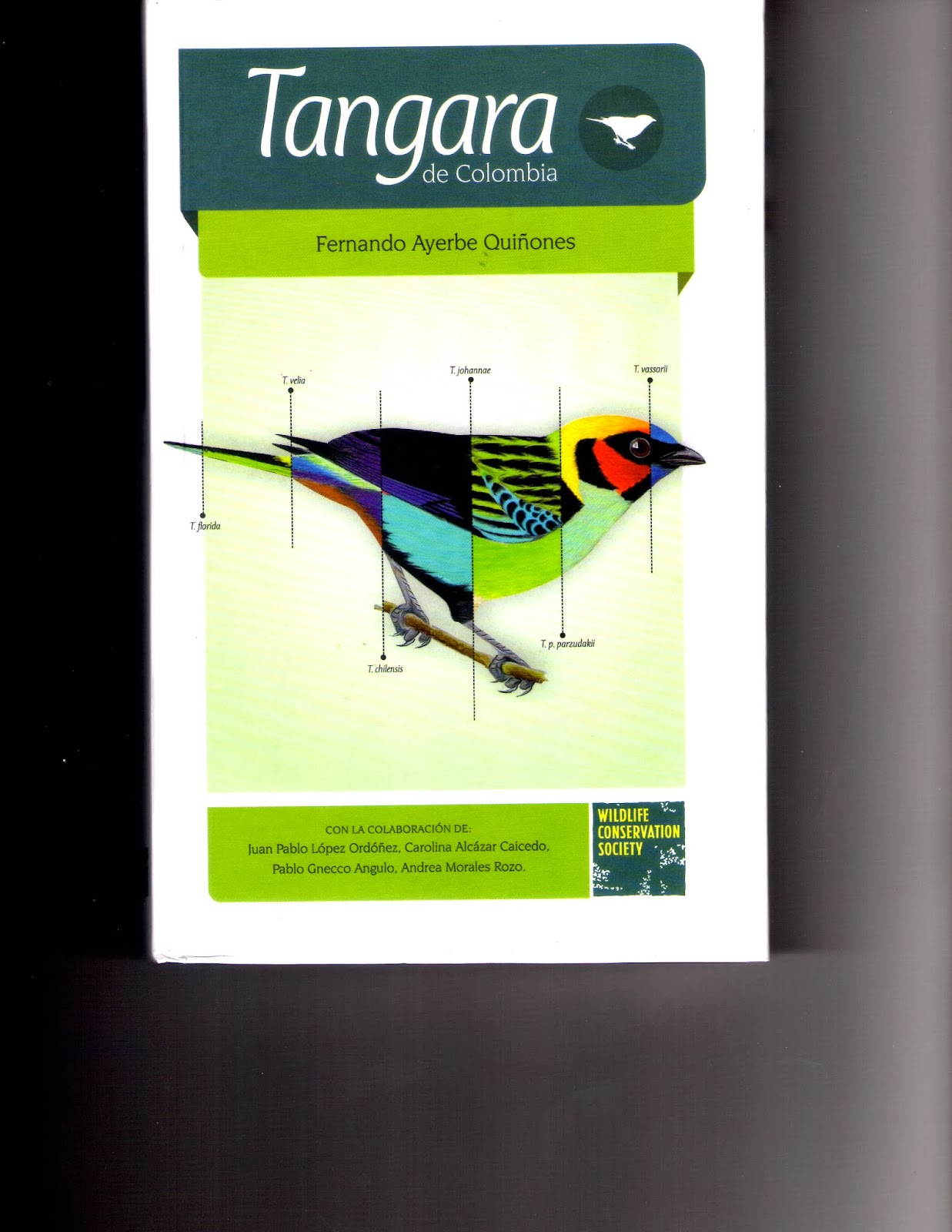 Libro Tangara de Colombia