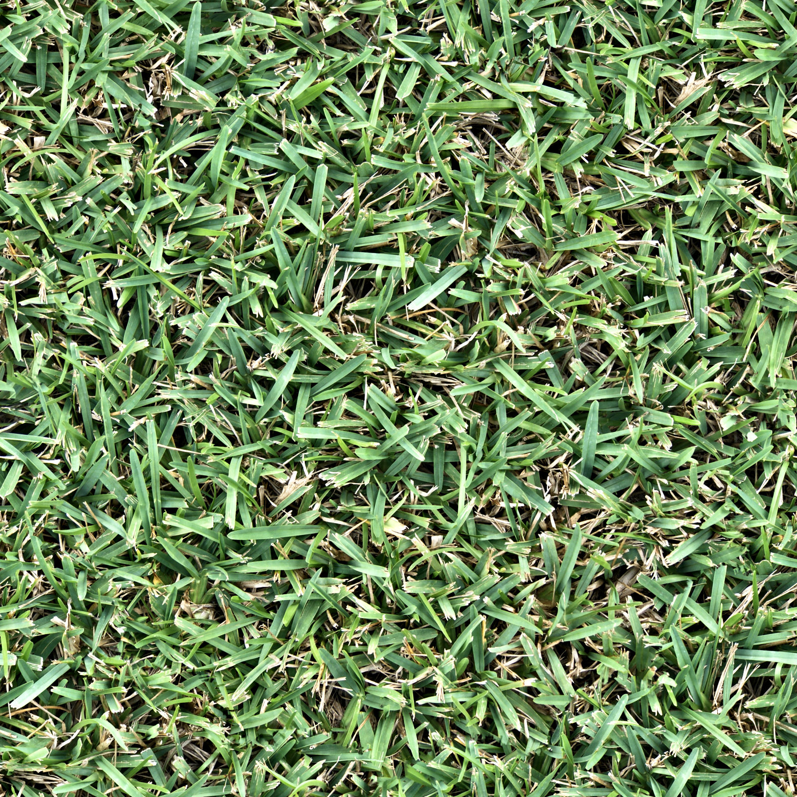 HIGH RESOLUTION TEXTURES: Ground