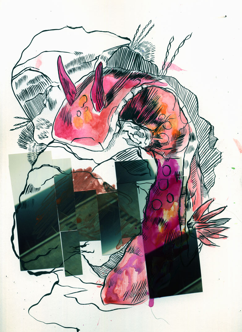 MC drawn: Sea slug —sketch: watercolour, water colour crayon ...