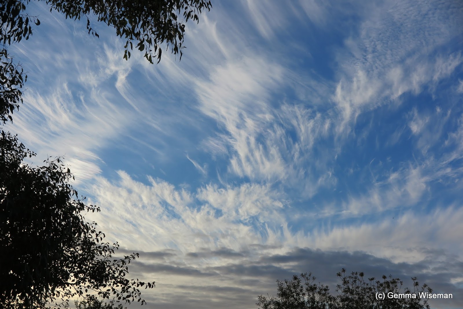 MORNINGTON PENINSULA DAILY: early evening...