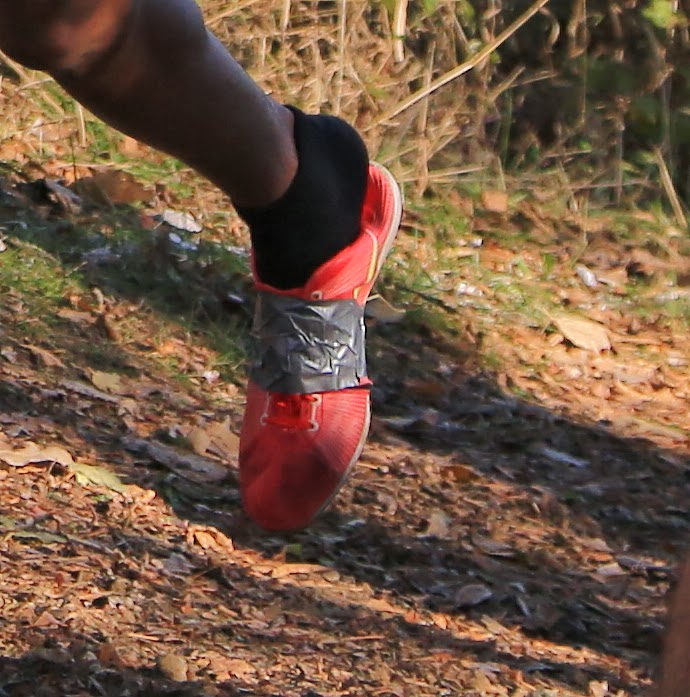 Down the Backstretch: News Clips