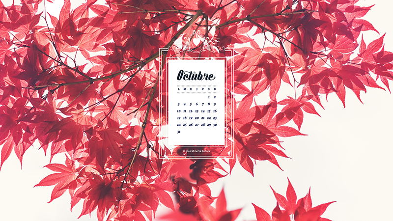 Fondos pantalla otoñales para este octubre - Odisea gráfica