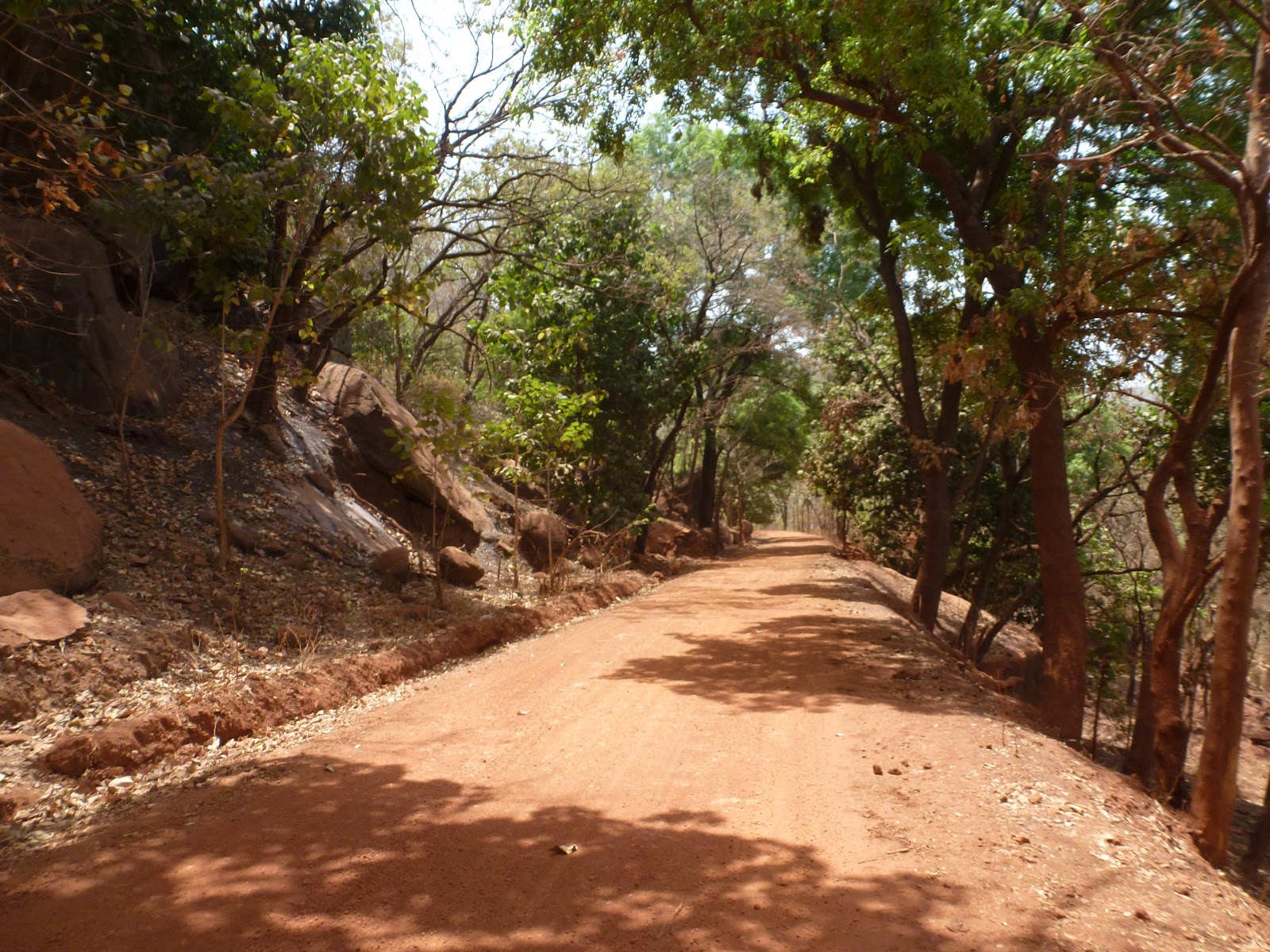 Ed Cycles South And Beyond: Saving the best until last; Mali, Guinea ...