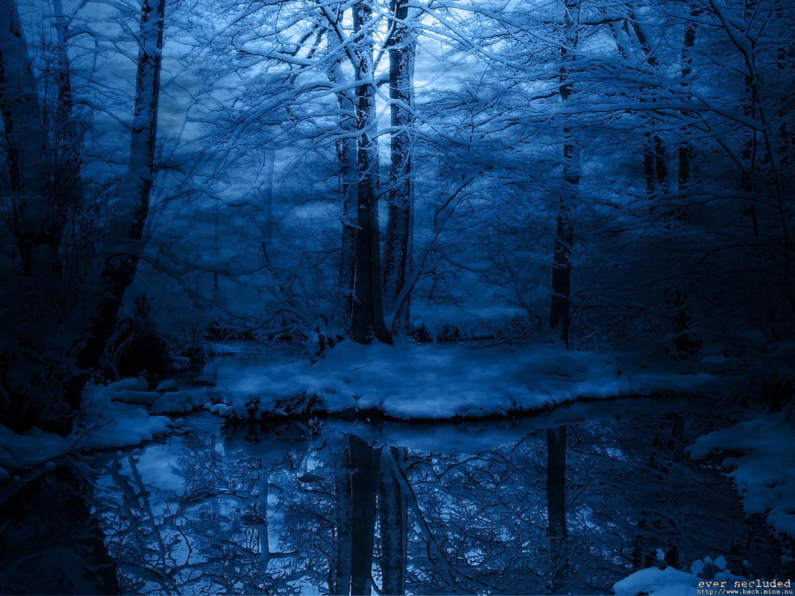 Paisaje De Un Bosque Oscuro Wallpaper Hd Night Sky