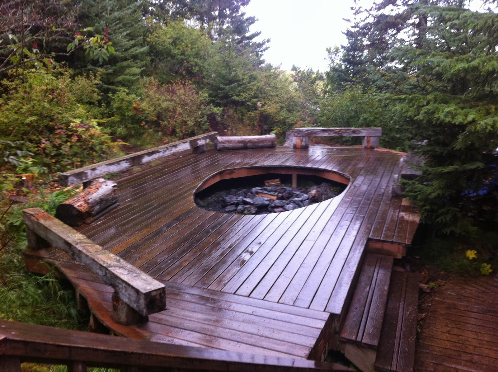 Life in Alaska — A View From Homer: Peterson Bay Field Station