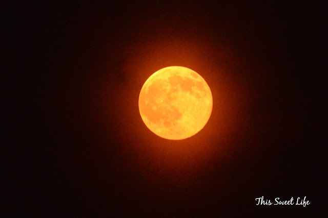 This Sweet Life: One Moon, Two Moons, Red Moon, Blue Moon