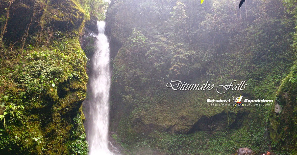 Diguisit Falls Baler