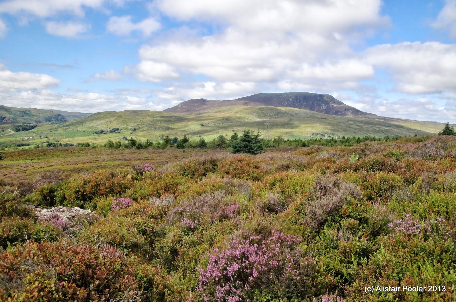 Alistair's Walks: Carnedd y Filiast and Arenig Fach