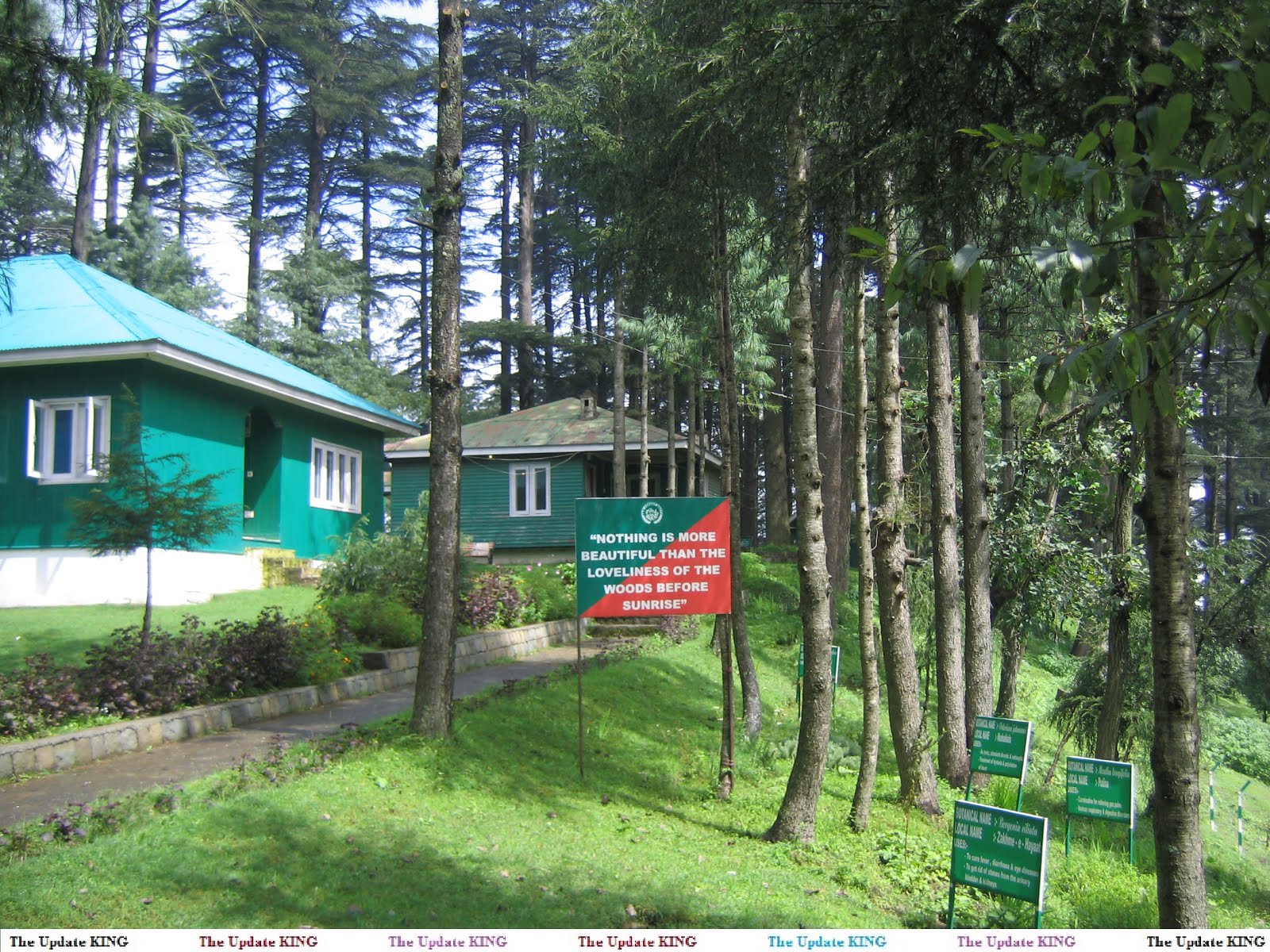 The Update KING: Famous Tourist Destinations near Jammu (Patnitop, Nathatop, Sanasar)
