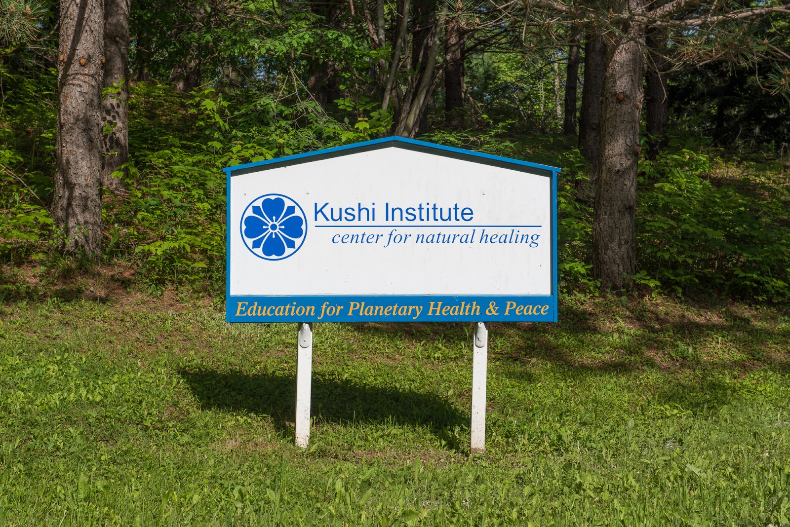 Kushi Institute: What is a macrobiotic consultation? And how will it ...