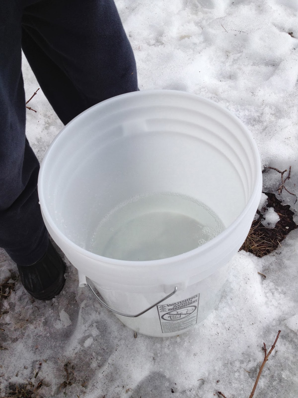 Maple Sugaring, Part 2: Gathering the Sap