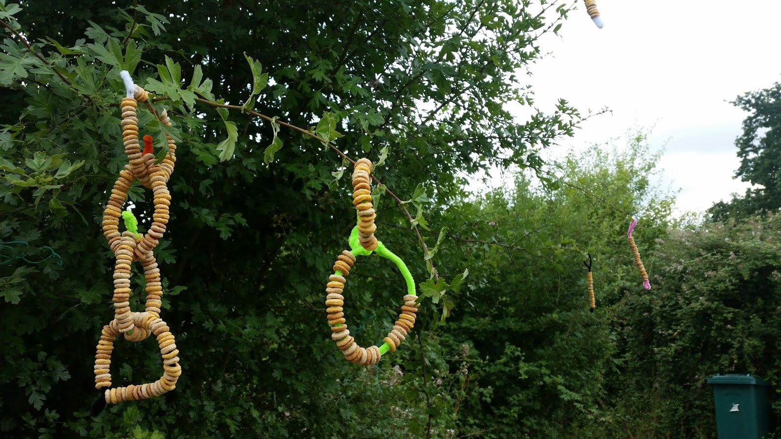 HOW TO MAKE "PIPE CLEANER BIRD FEEDERS - Worms Eye View