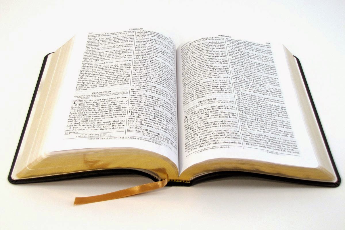 xMc.Política: ¿Por qué leemos la Biblia?